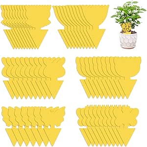 60 Pcs Piège à Mouches plaques Jaunes Autocollant, Attrape Moucheron ...