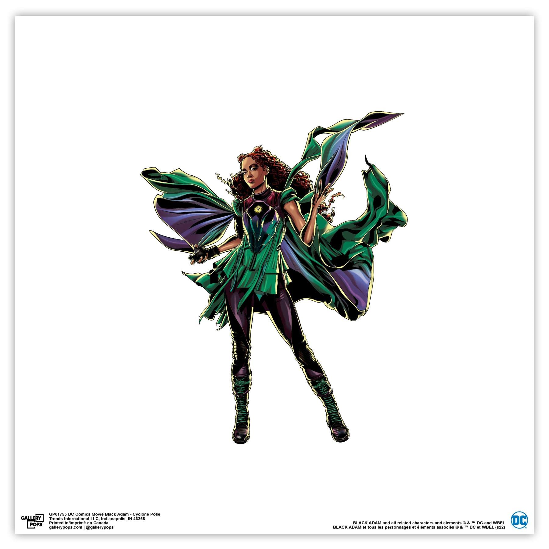 Amazon.com: Trends International Gallery Pops DC Comics Movie Black ...