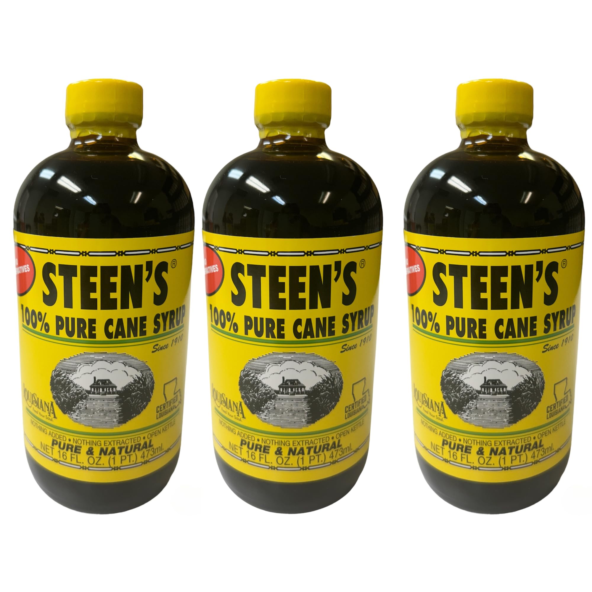 Amazon.com : 100% Pure Cane Syrup 16fl. Oz (Pack of 3) - No Additives ...