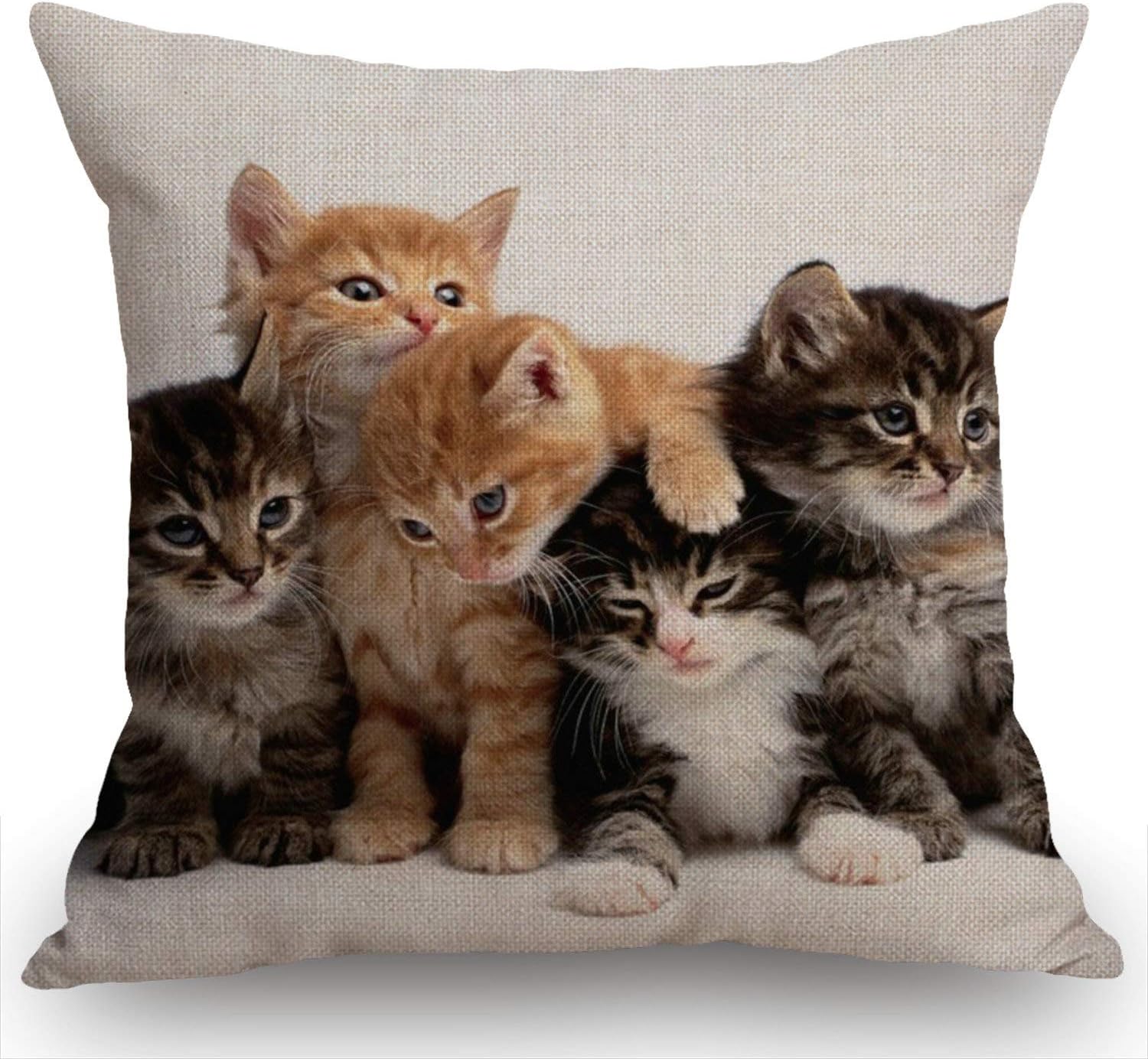 Amazon.com: IBILIU Cute Black Cat Throw Pillow Covers 18X18,Black ...