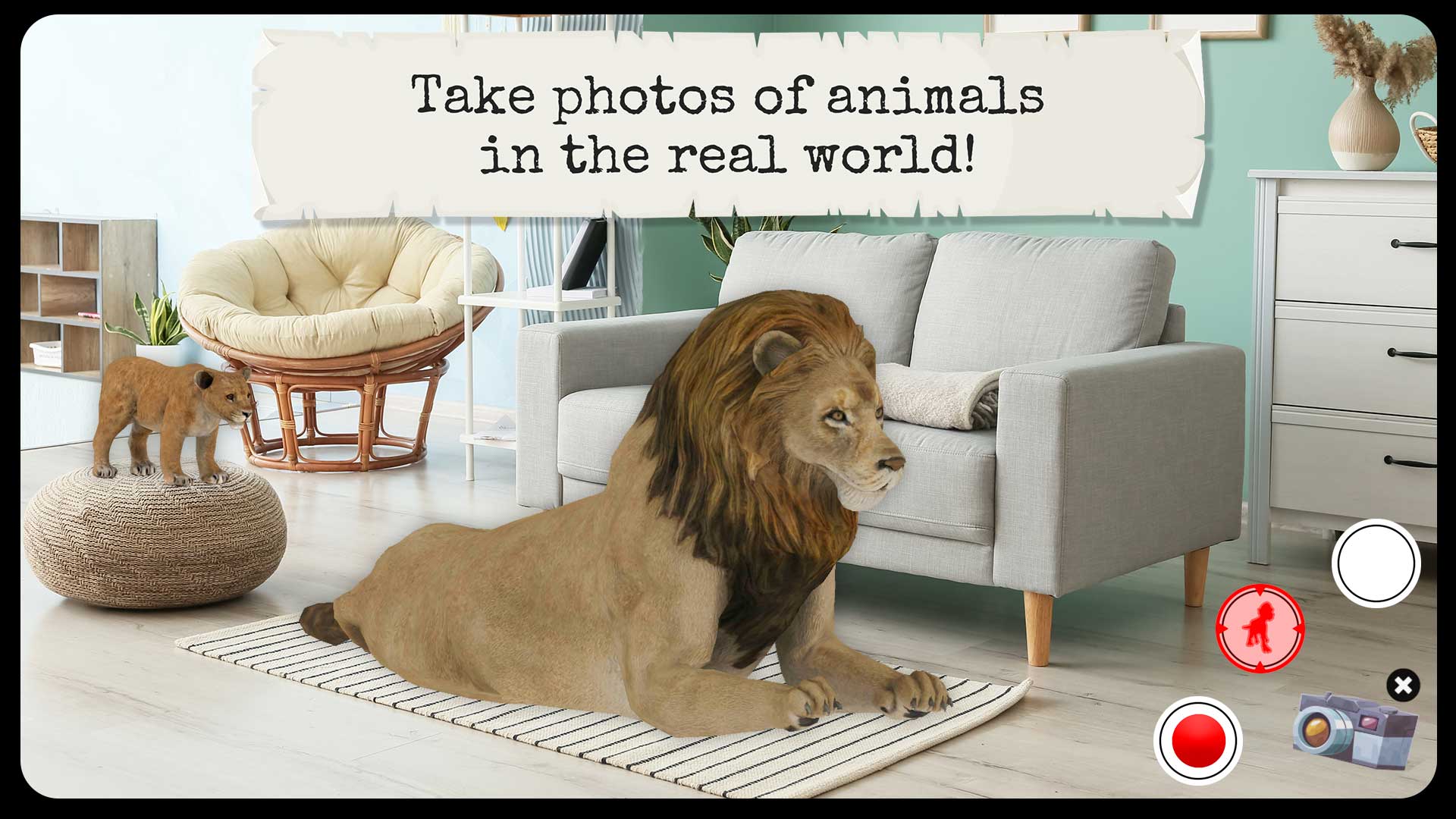 Wild Animals - Safari & Jungle - 4D Kid Explorer: VR & AR Educational ...