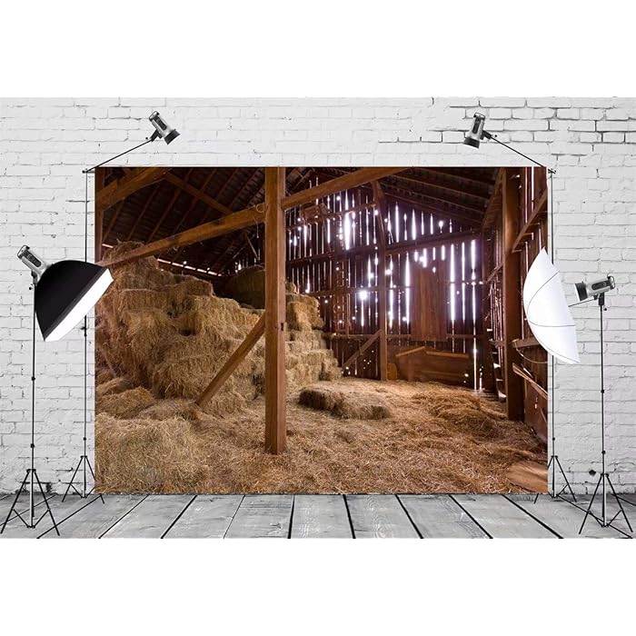 Buy BELECO 10x6.5ft Farm Backdrop Interior of Old Barn with Straw Bales ...