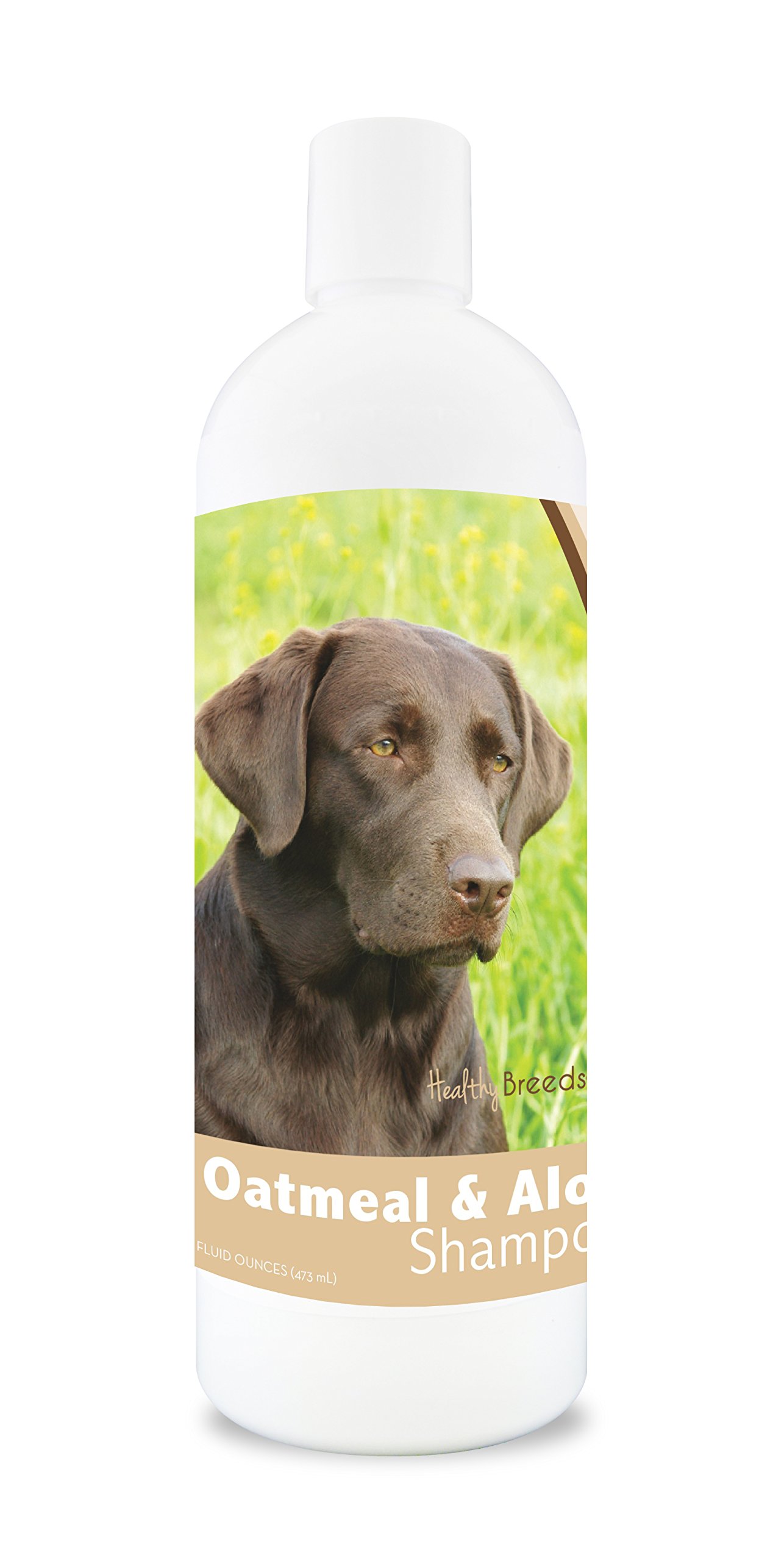 Labrador Shampoo