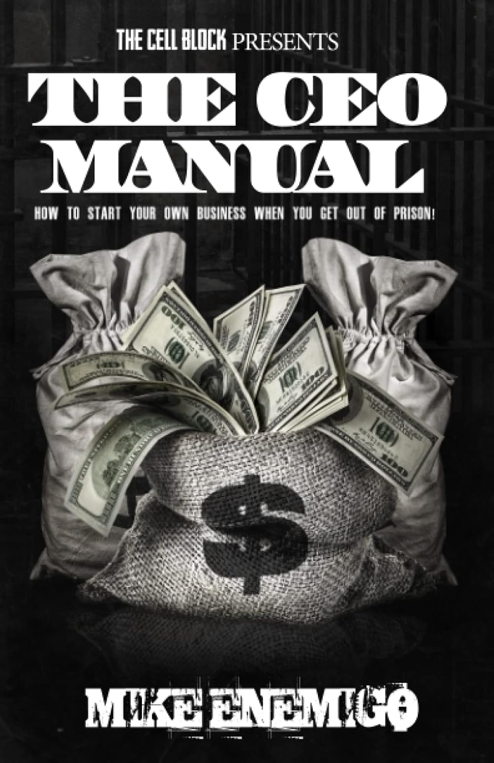 The CEO Manual: How to Start Your Own Business When You Get Out of ...