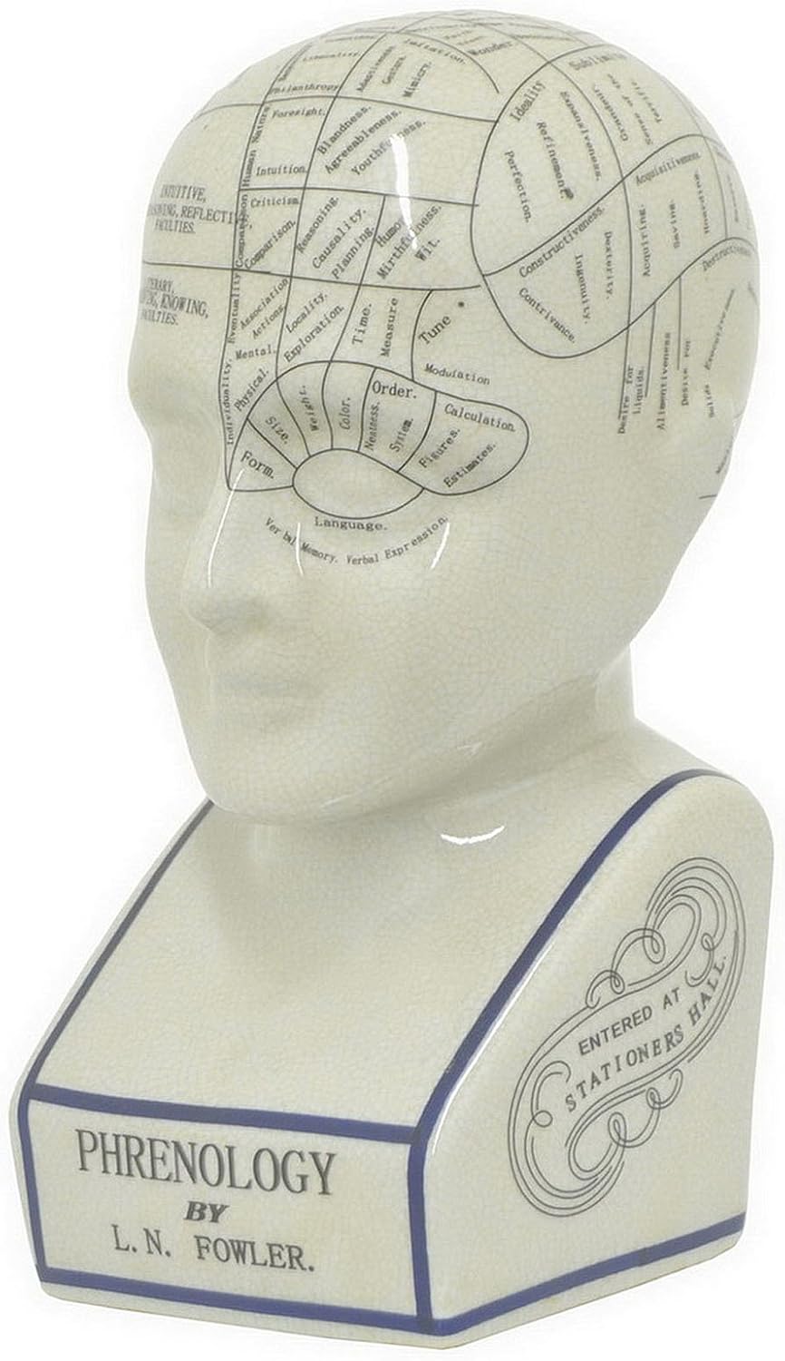 Amazon.com: Three Hands Corporation 20417 Phrenology Head, White : Home ...