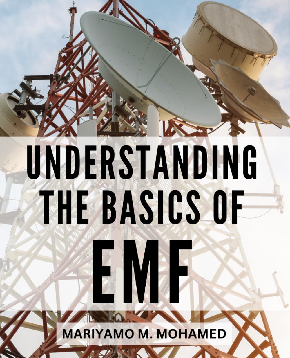 Understanding The Basics Of EMF: Safeguarding Your Health from ...