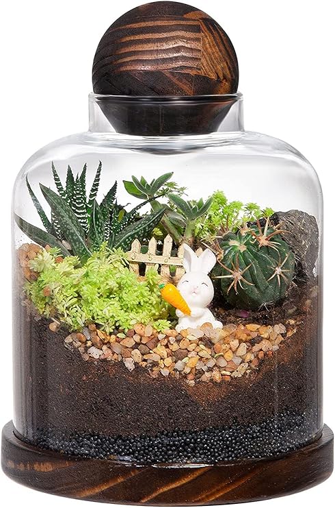 Yangbaga Terrarium Glass Jar with Lid for Plants - Grow Your Own Large ...