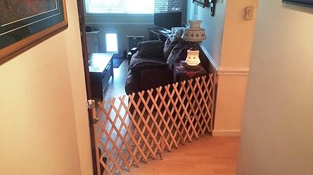 Amazon.com: GMI Keepsafe Expansion Gate, 60 Inches : Tools & Home ...