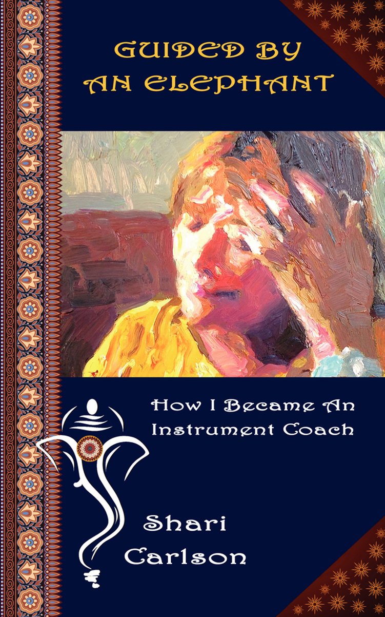 Guided By An Elephant: How I Became The Instrument Coach - Kindle ...