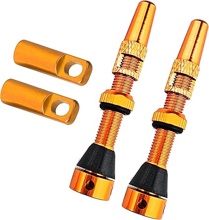 HNsdsvcd Bicycles Valves Stem With Valves Cores Remover Tool & Valves ...