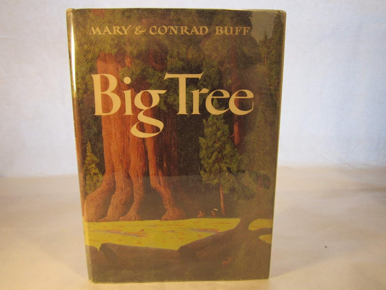 Big tree: Buff, Mary and Conrad: Amazon.com: Books