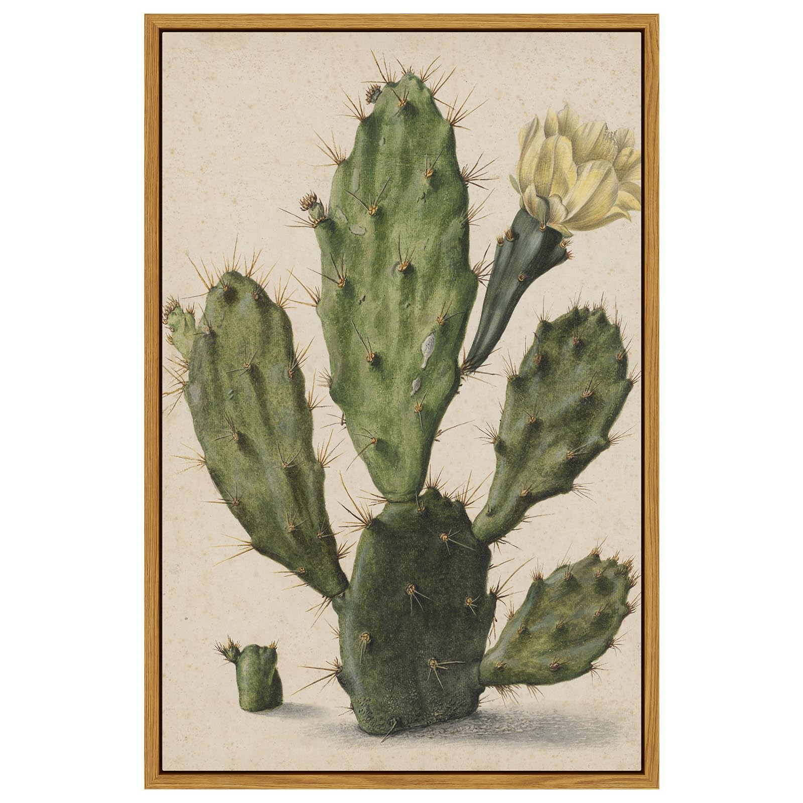 ARPEOTCY Vintage Botanical Large Framed Wall Art, Quiet Cactus Plant ...