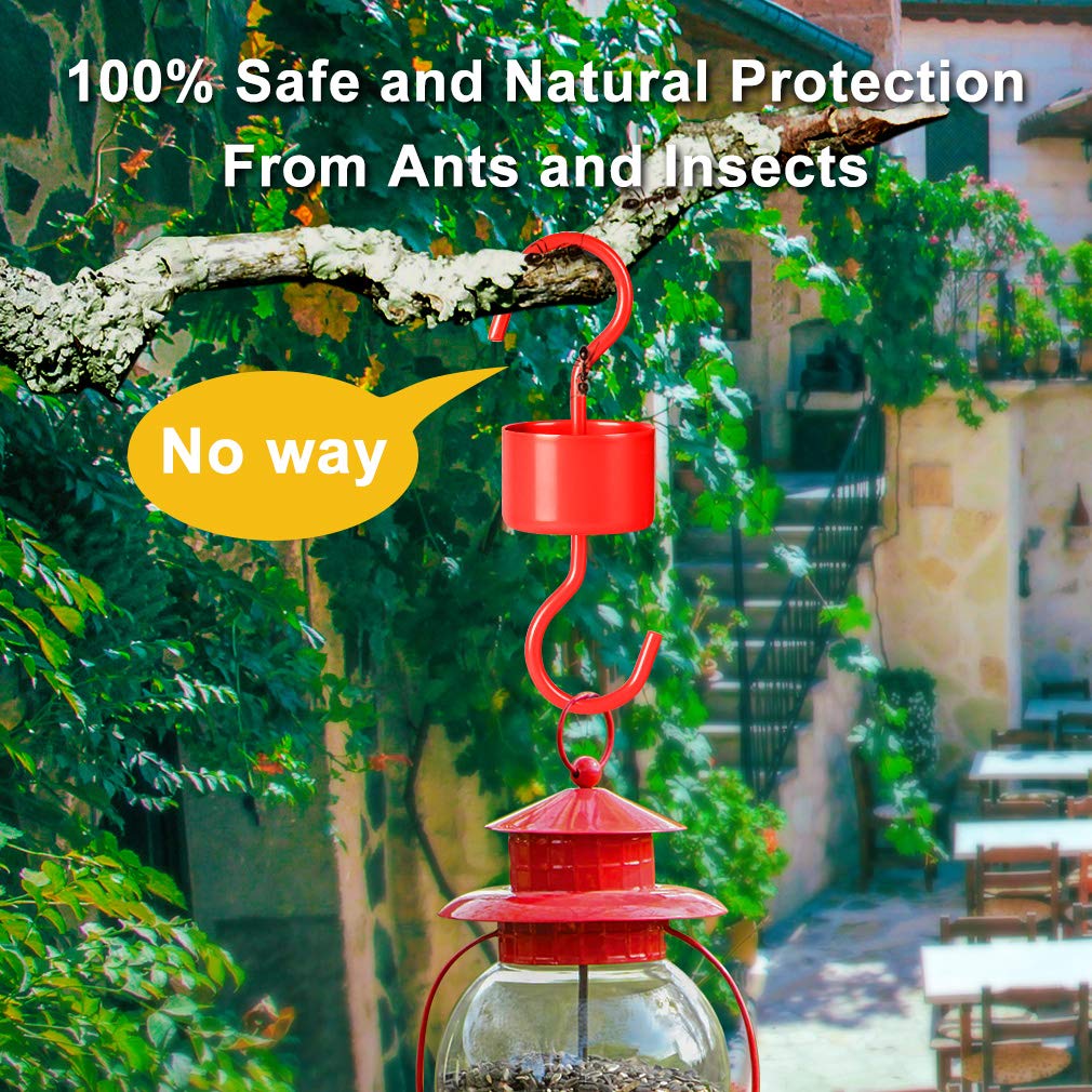 Snapklik.com : Ants Moat For Hummingbird Feeder And Oriole Feeder, 4 ...