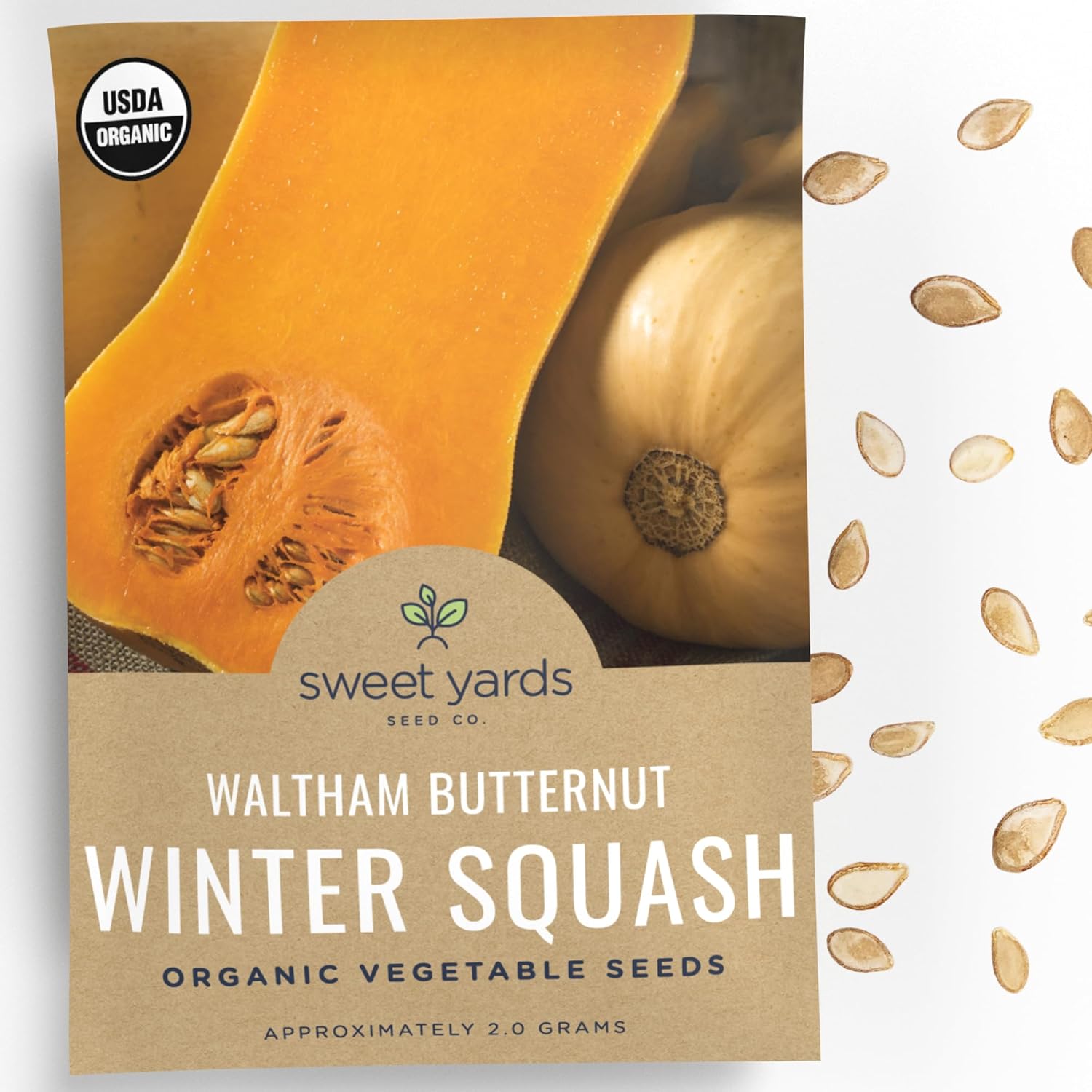 Amazon.com : Organic Butternut Squash Seeds ‘Waltham’ – Seed Packet of ...