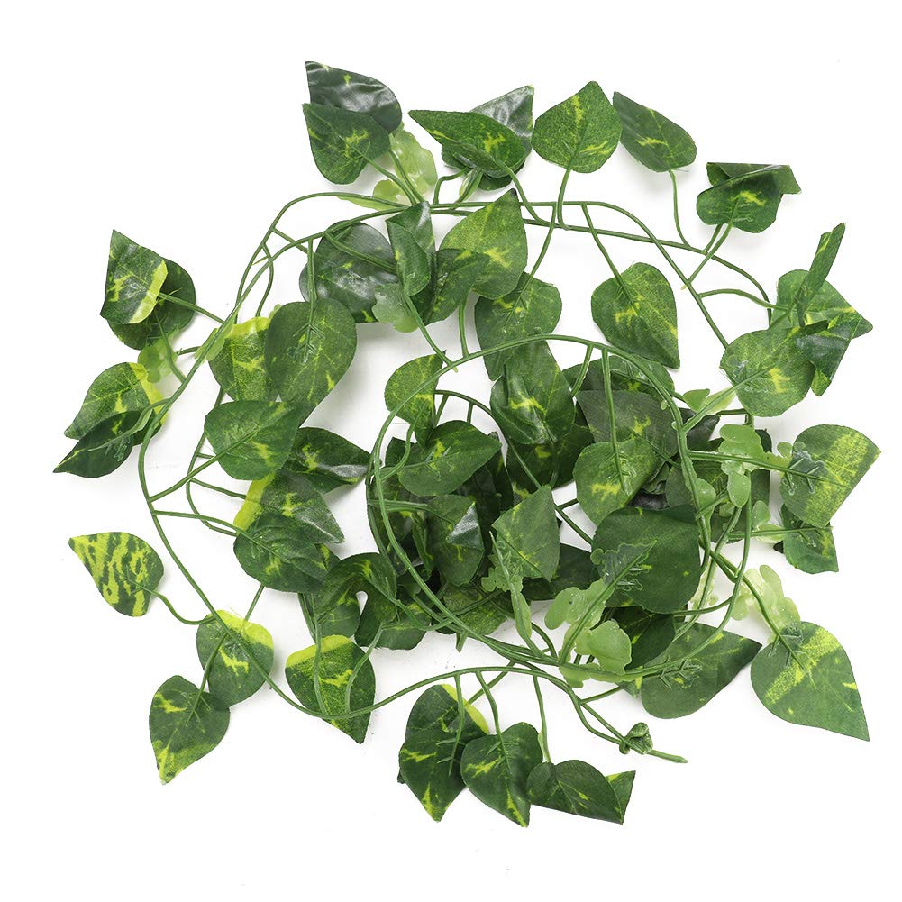 Arboreal Plants Names