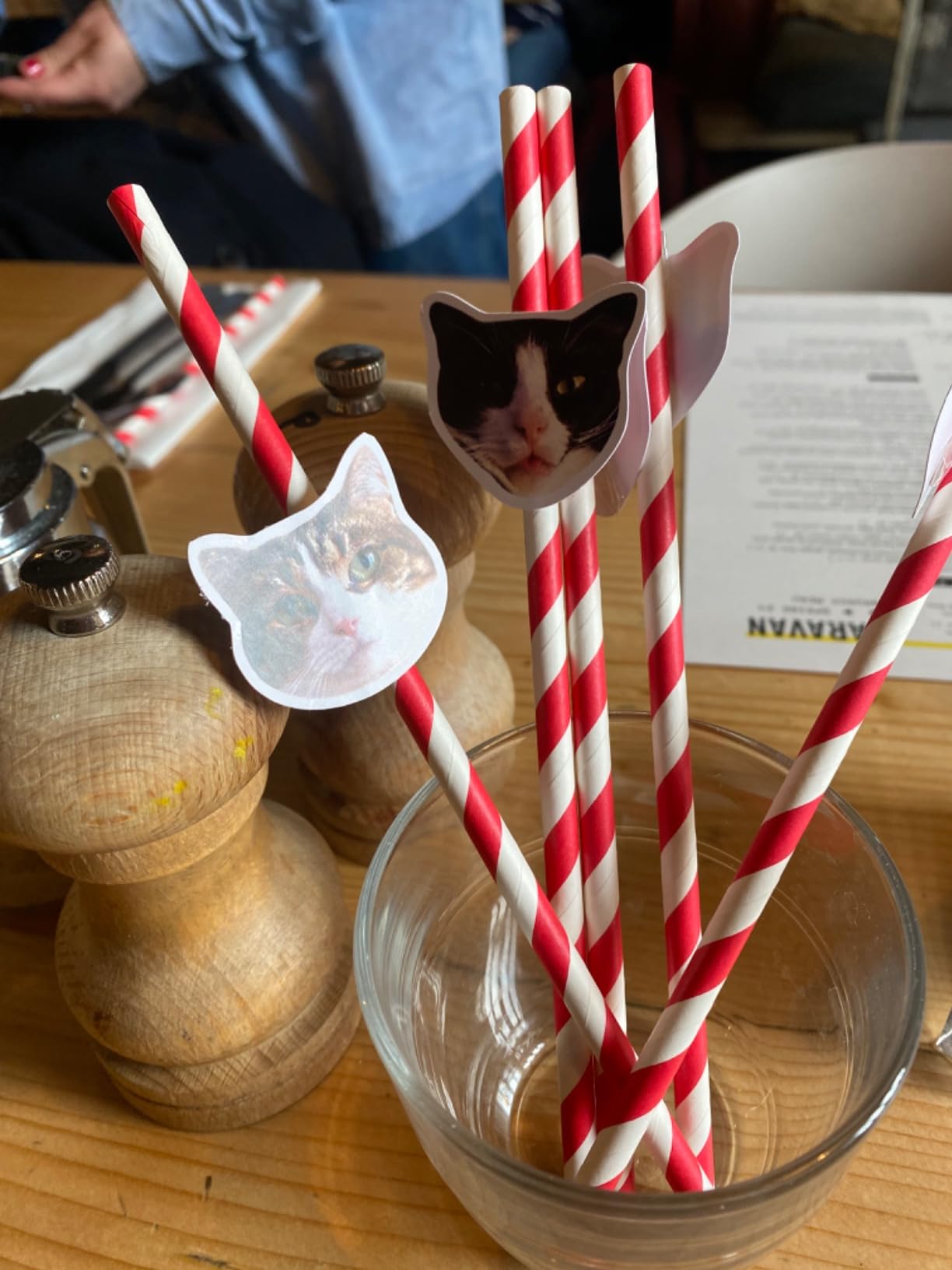 20 Personalised Face Straws - Custom Cut-Out Photos of face of Your ...