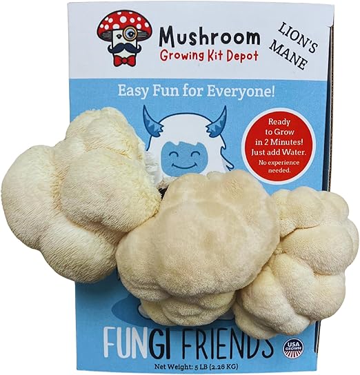 Amazon.com : FUNGI FRIENDS Lion's Mane Mushroom Grow Kit (5 lbs ...