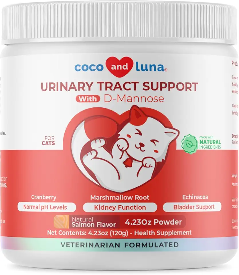 Understanding The Importance Of Urinary Acidifiers For Cats | PetShun