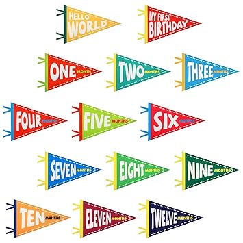 Amazon.com : 14pcs Baby Milestone Flags, Felt Monthly Milestone Pennant ...