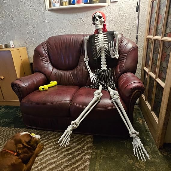 Amazon.com: 5.4ft Halloween Life Size Pirate Skeleton Realistic Human ...