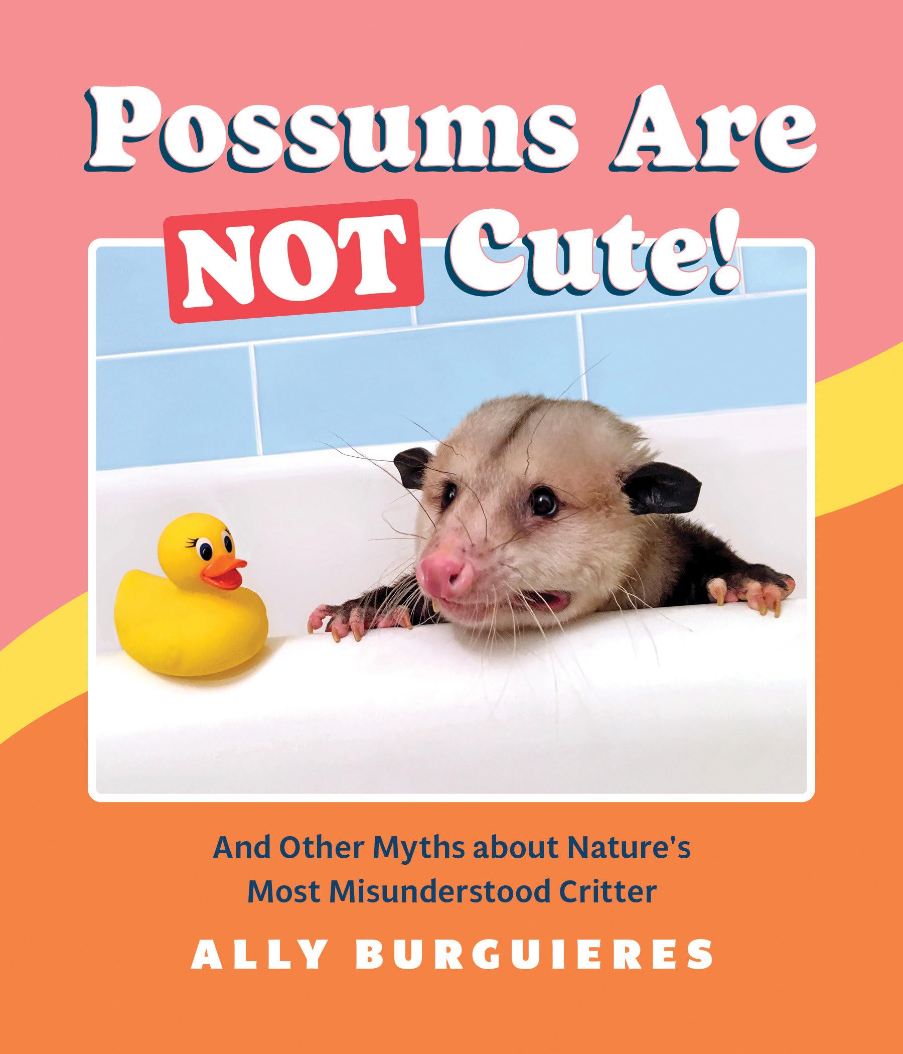 Amazon.com: Possums Are Not Cute!: And Other Myths about Nature's Most ...