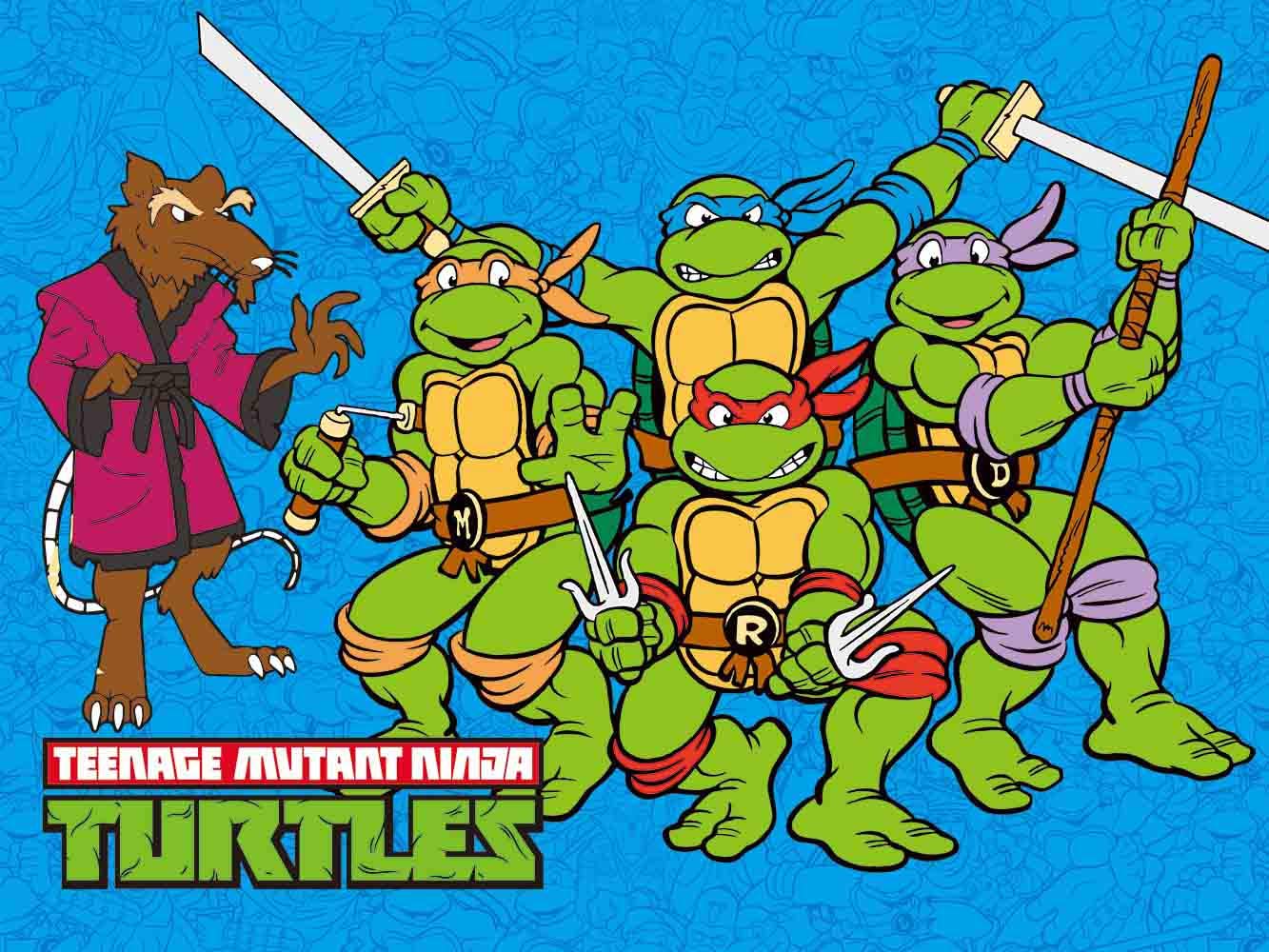 Buy Teenage Mutant Ninja Turtle Backdrop Party Supplies for Kids ...
