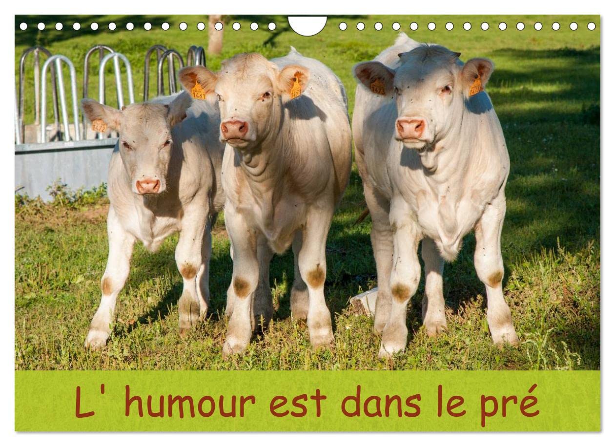 L'humour est dans le pré (Calendrier mural 2023 DIN A4 horizontal ...