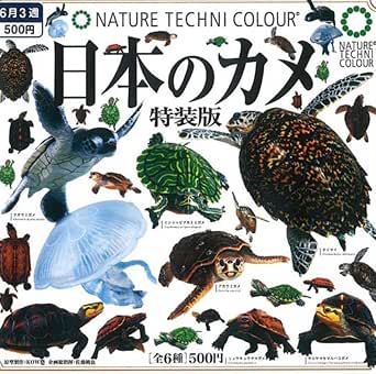 Amazon.co.jp: Nature Technicolor Japanese Turtle Special Edition Set of ...