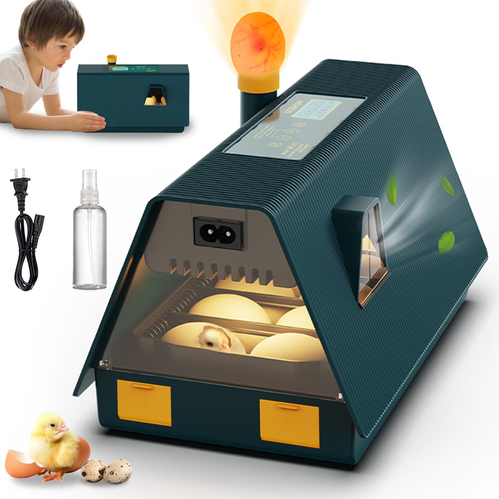 Amazon.com: 8 Eggs Incubator for Hatching Eggs, Automatic Egg Turner ...