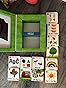 Amazon.com: World of Eric Carle, My First Library 12 Board Book Set ...