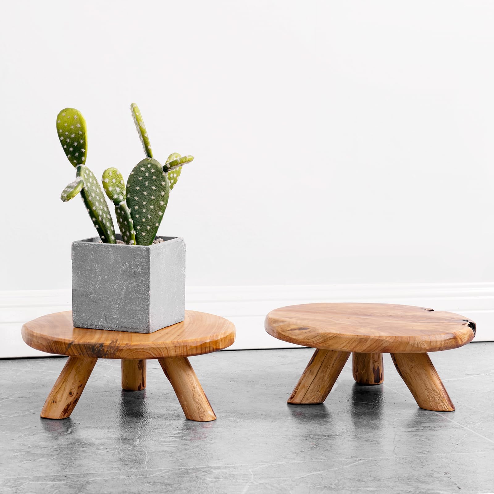 Amazon.com: WELLAND Set of 2 Cedar Risers for Decor, 10 Inch Round ...