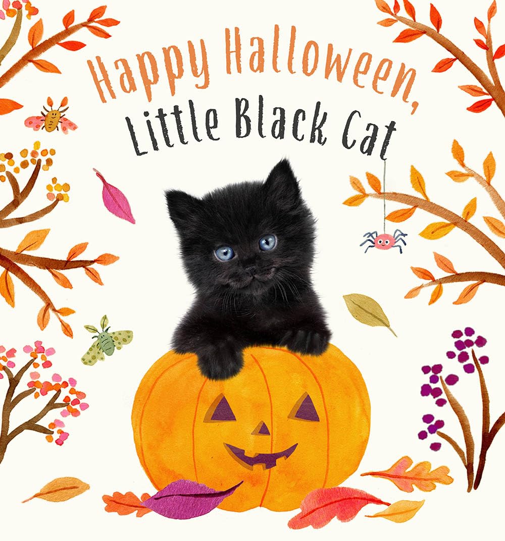 Happy Halloween, Little Black Cat (Baby Animal Tales): Wood, Amanda ...