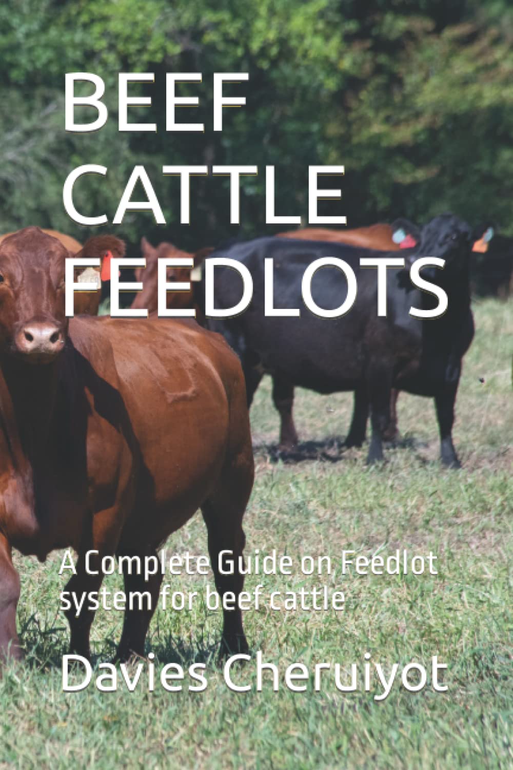 Buy BEEF CATTLE FEEDLOTS: A Complete Guide on Feedlot system for beef ...