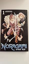 Amazon.com: Noragami: Stray God 1: 9781612629063: Adachitoka: Books