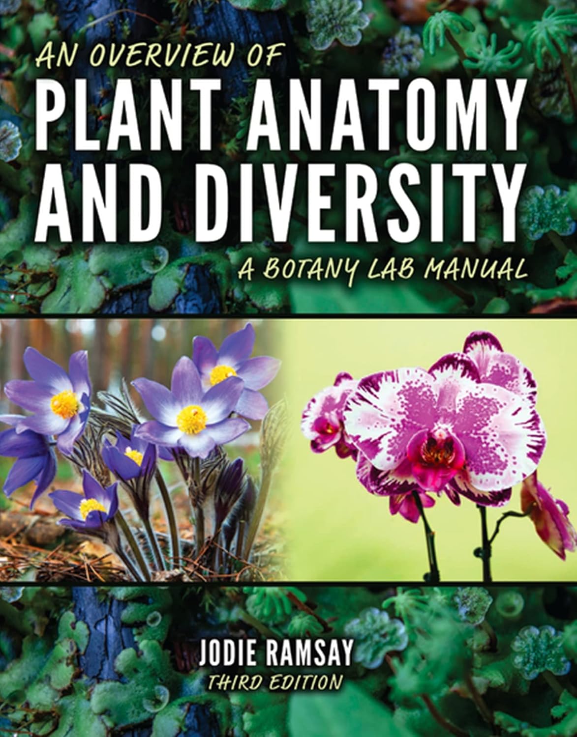 An Overview of Plant Anatomy and Diversity: A Botany Lab Manual: Jodie ...