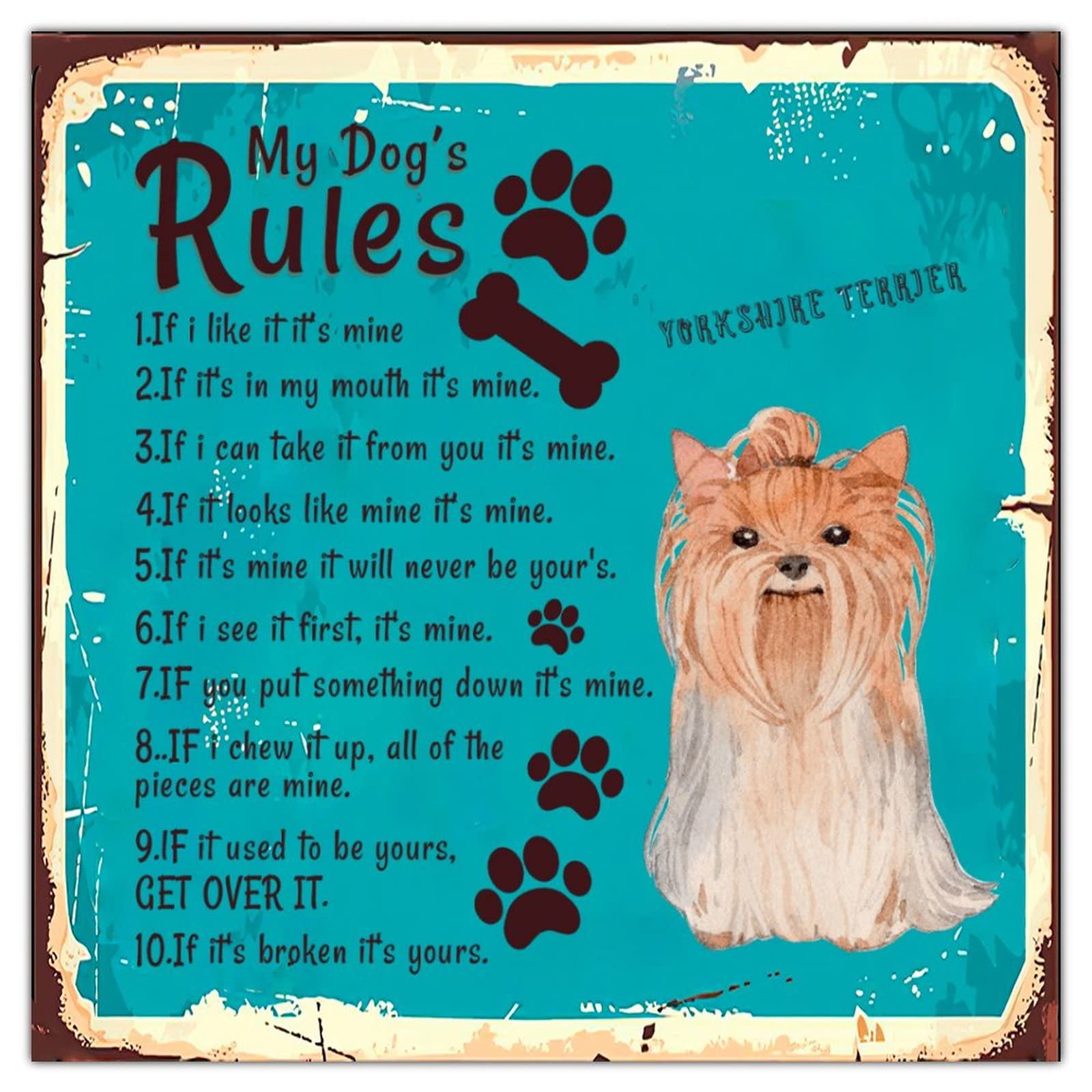 Dog Rules Humor Everyone Stopped To Laugh At These Funny Dog Memes