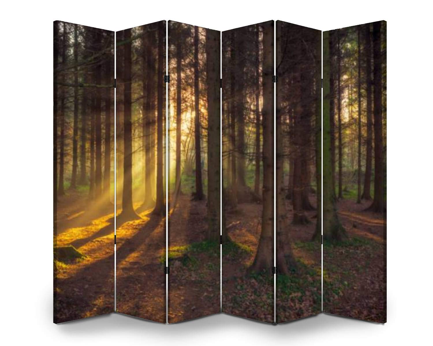 Buy Wood Screen Room Divider Forest Morning Sun Rising in The UK ...