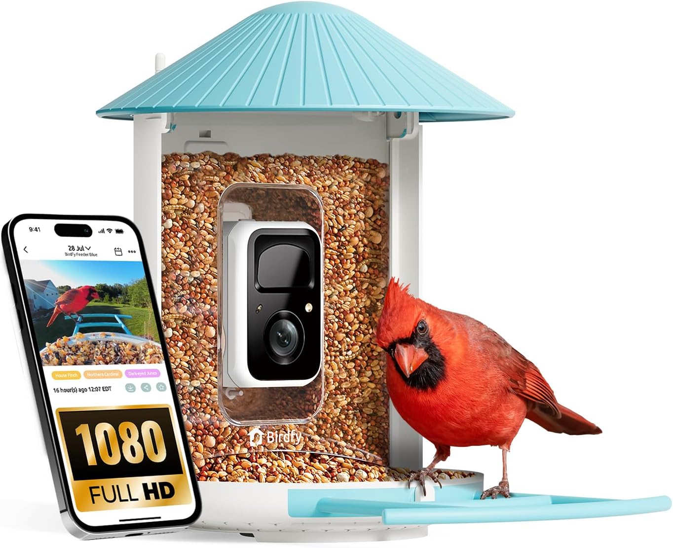 Amazon.com : Birdfy Smart Feeder with Camera, AI Bird Identification ...