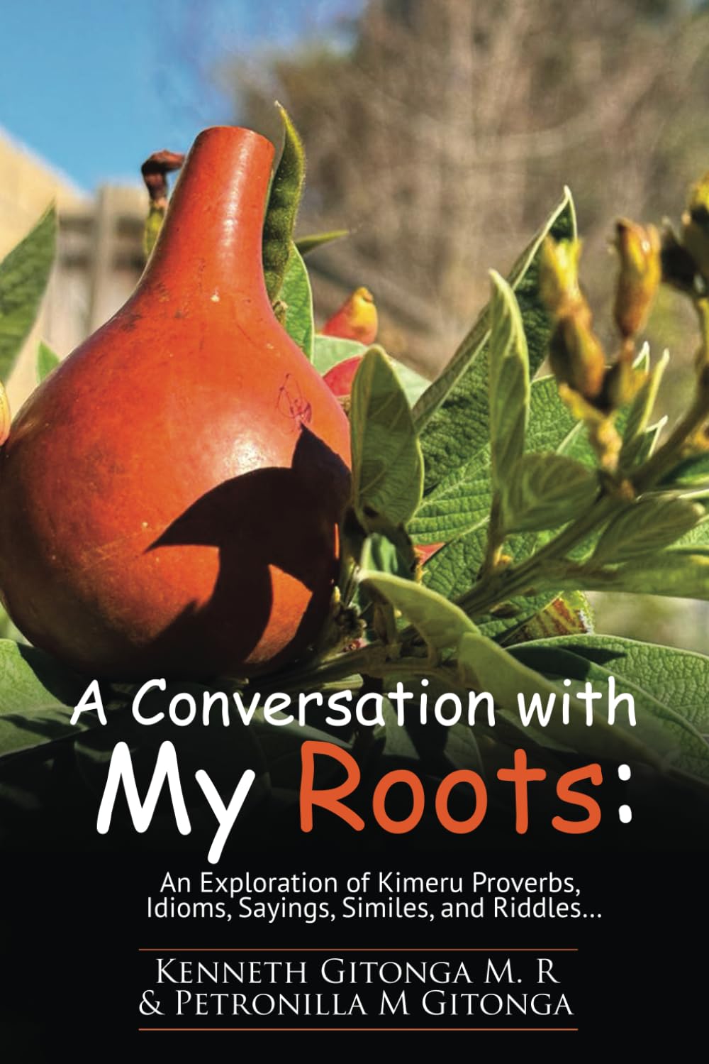A Conversation with My Roots: An Exploration of Kimeru Proverbs, Idioms ...