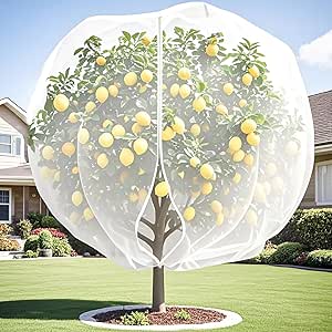 Amazon.com : Rohuis Large Tree Nets for Fruit Trees, 10FT x 10FT Blueberry Netting for Berry ...