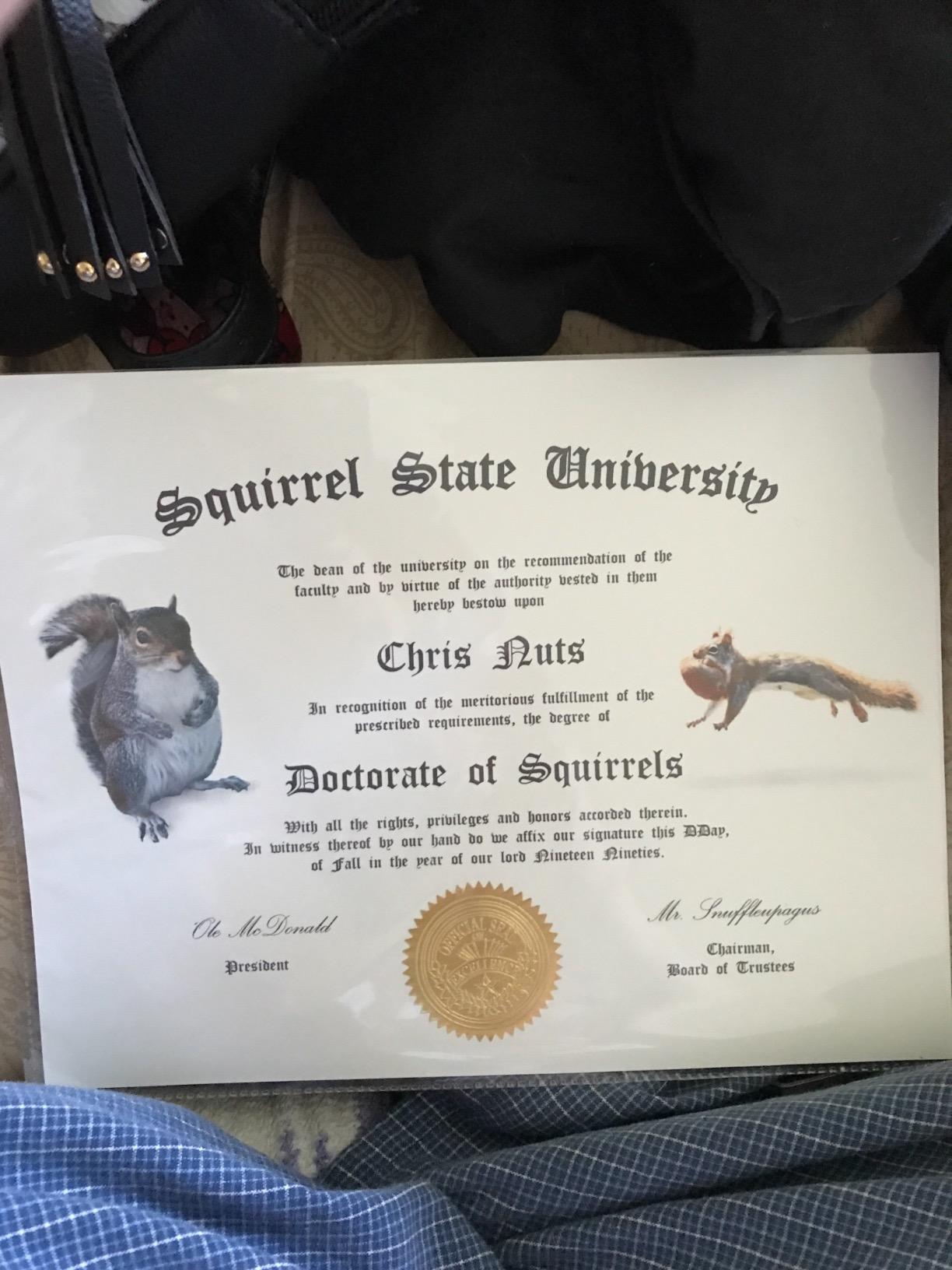 Amazon.com: Creative Displays Personalized Squirrel Degree: Custom Gag ...