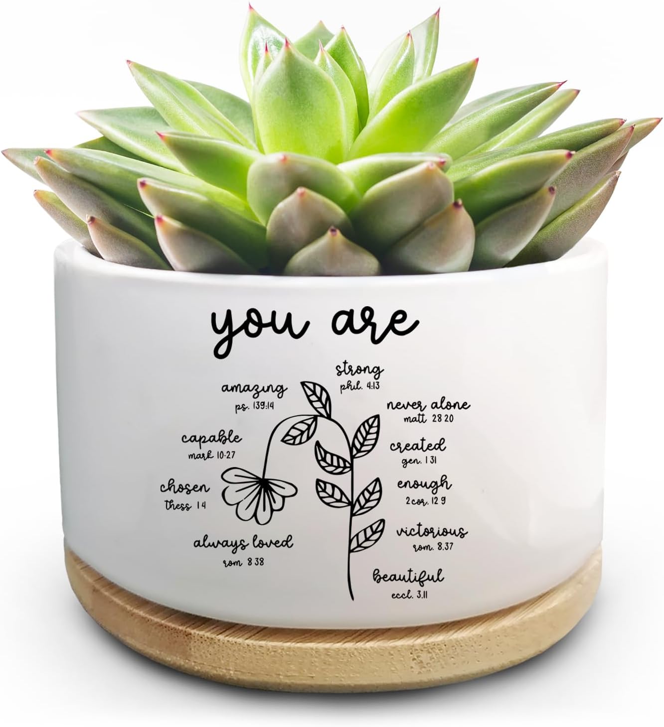 Amazon.com: Jutasty Christian Religious Gifts for Women, Succulent ...