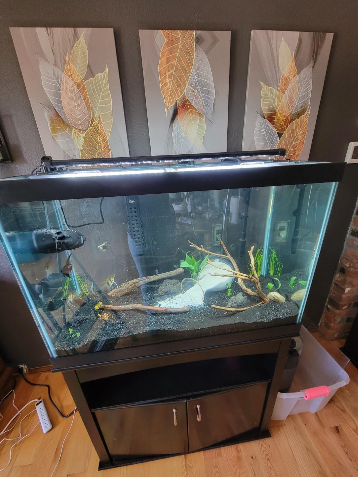 $15/mo - Finance Glass Canopy for Aquariums with and Without Center ...