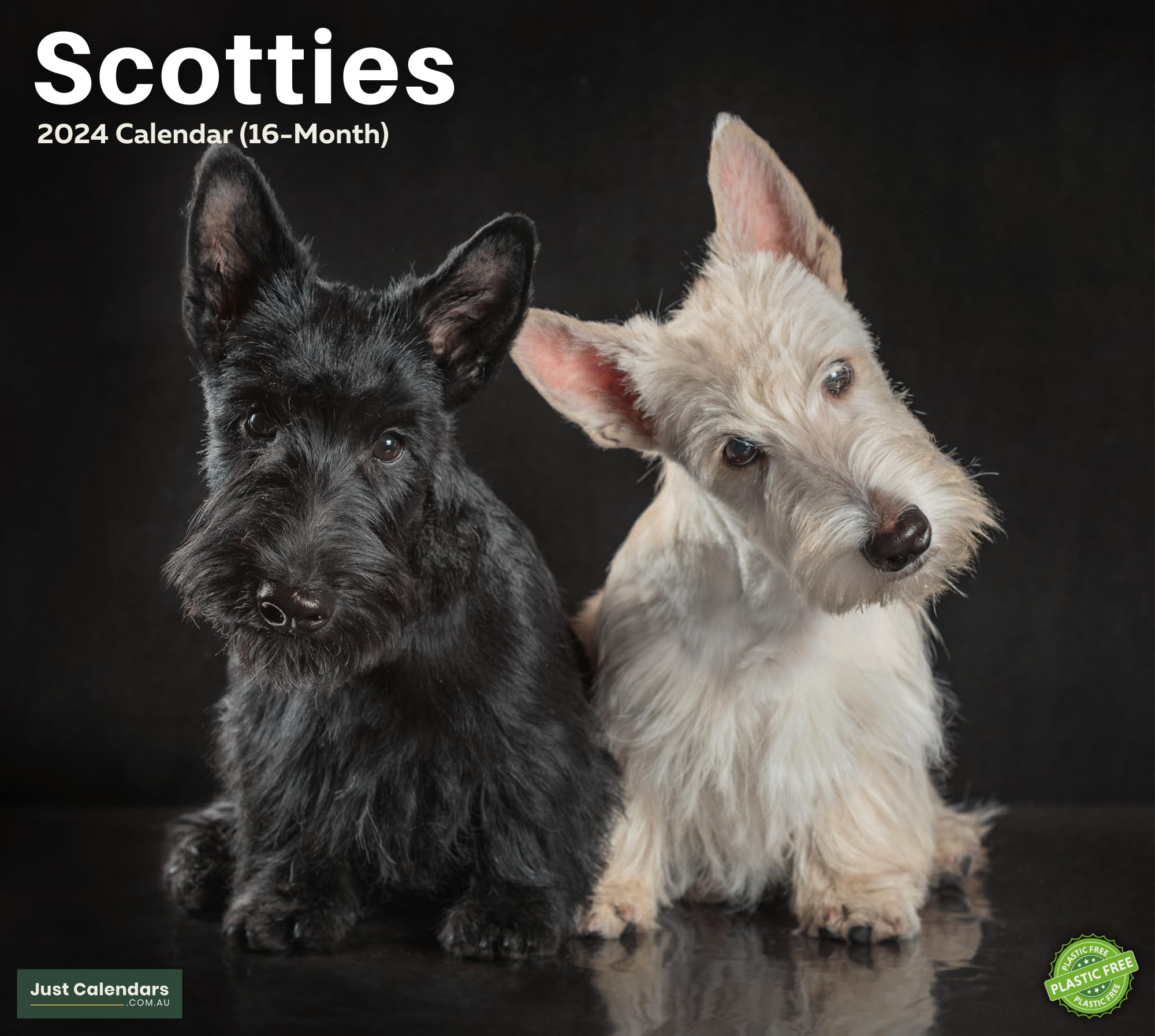 Amazon.com: 2024 Scotties (Scottish Terriers) Dogs & Puppies - Deluxe ...