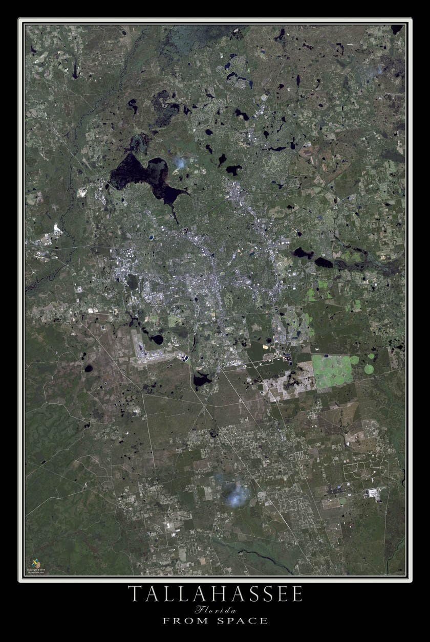 Amazon.com: Tallahassee Florida Satellite Poster Map: Posters & Prints