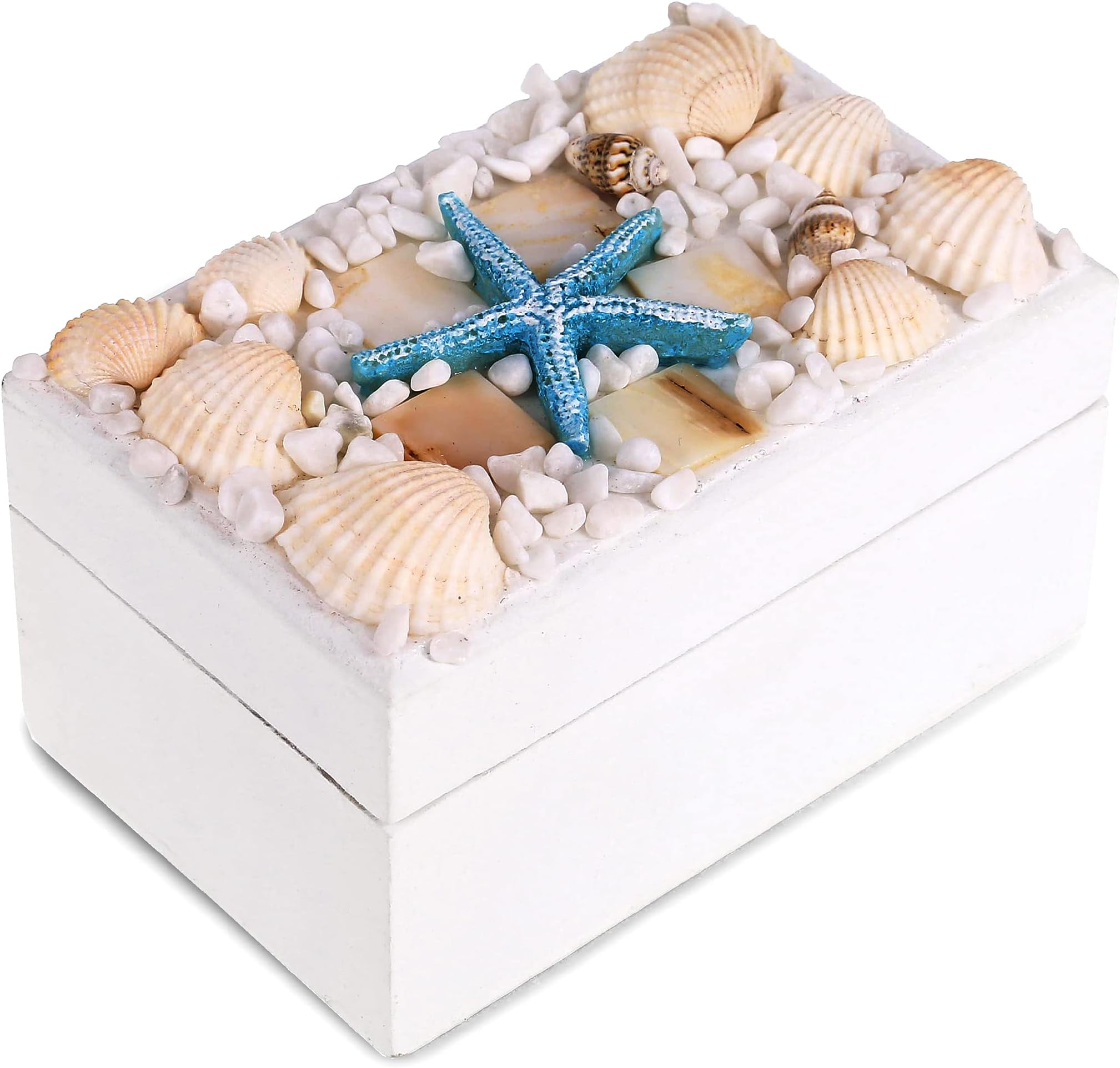 Amazon.com: Westman Works Gifts Real Natural Seashell Jewelry Trinket ...