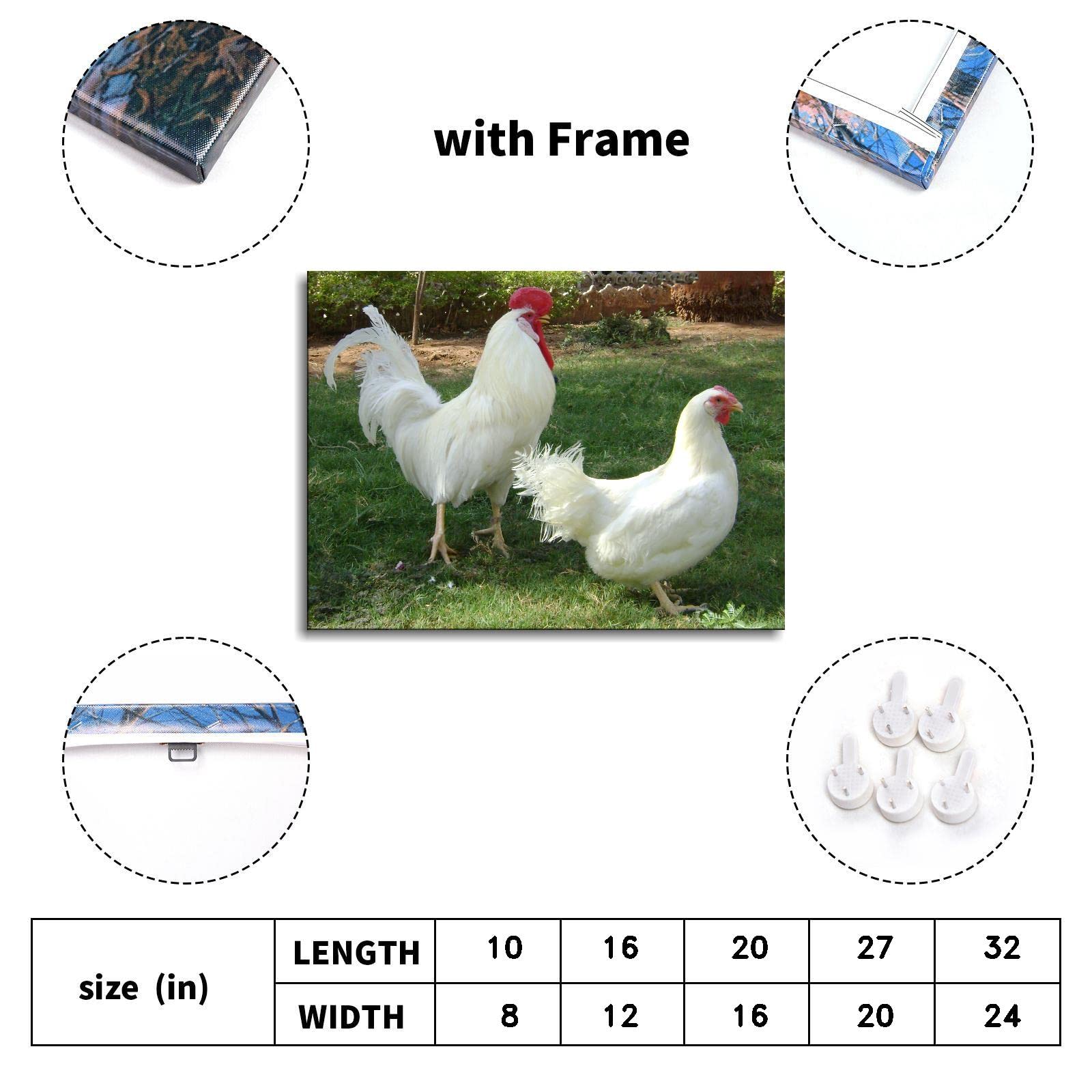 Codominance Chickens