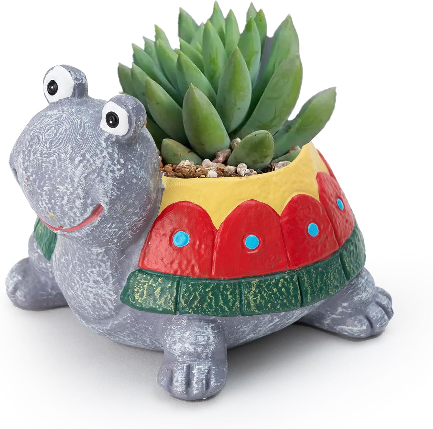 Amazon.com : BOIHEGU Cute Turtle Succulent Planter Pot, 4 inch Resin ...