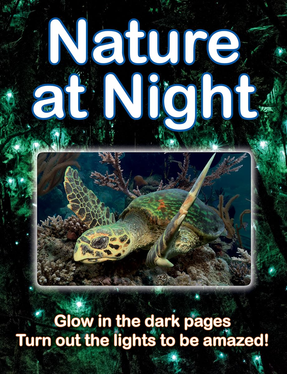 Nature at Night: Regan, Lisa: 9780228102540: Amazon.com: Books