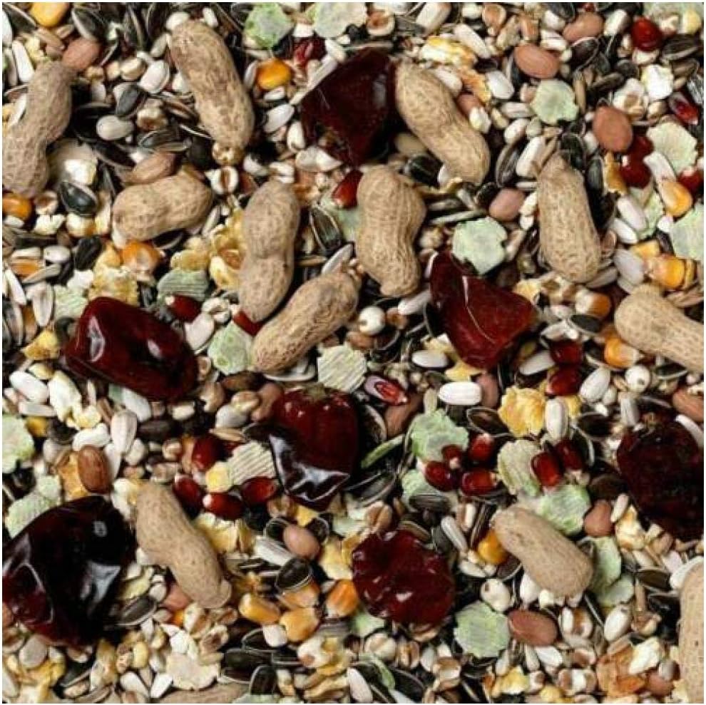 Johnston & Jeff 2kg Low Sunflower African Grey Parrot bird seed food ...